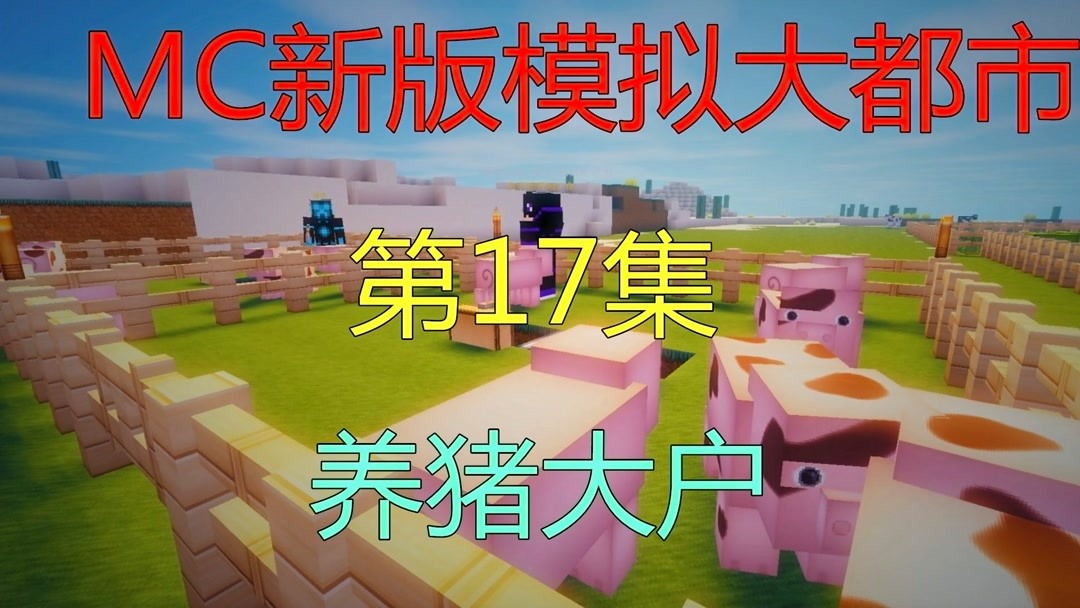 我的世界:沫奇新版模拟大都市EP17 养猪大户
