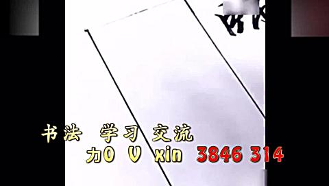 书法字帖大师级的行书, 写的那是行云流水庞中华硬笔书法教程