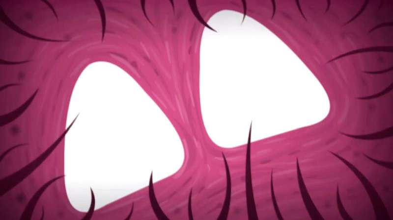 《新型冠状病毒之家园保卫战》MG动画