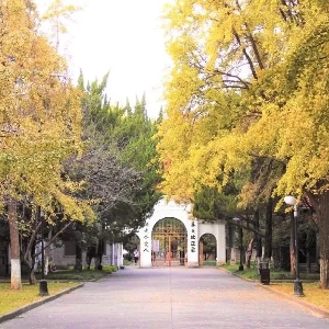 小果苏大考研 