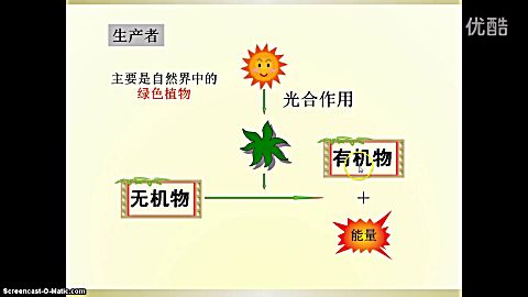 生态系统的组成-微课