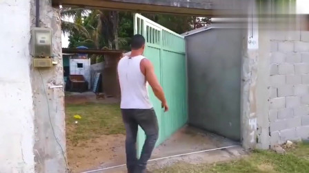 牛人发明:今天见到这种结构的门,发现我家大门太落后了