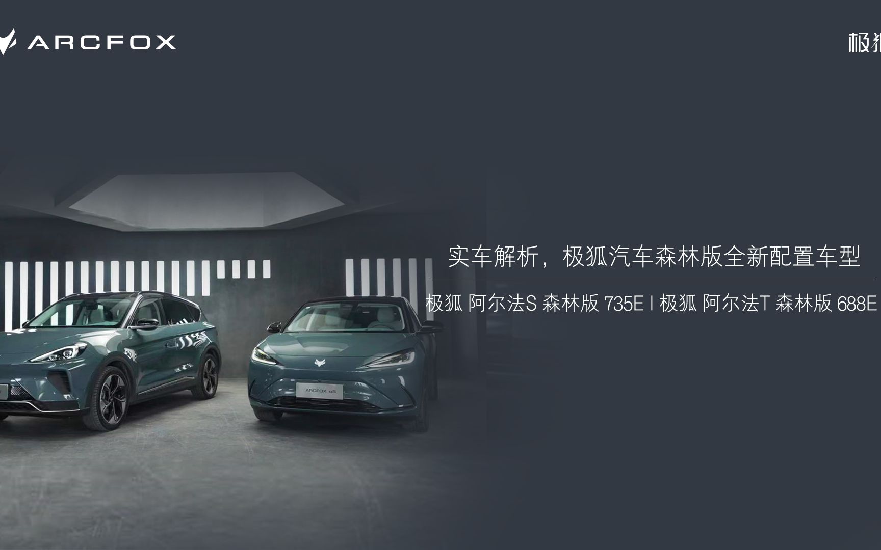 实车解析,极狐汽车森林版全新配置车型