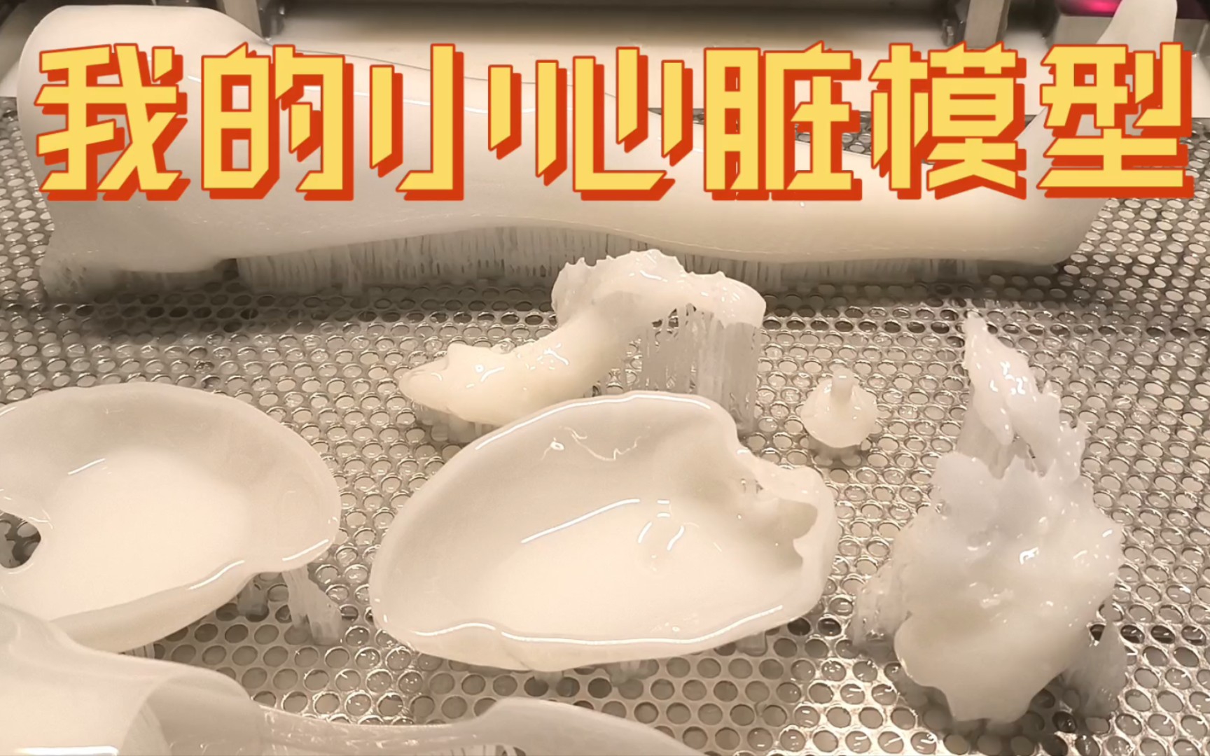 利用3D打印制作一个心脏模具来硅胶翻模的实验