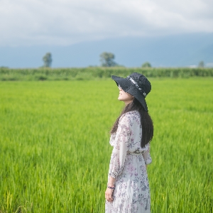 Annie95更新款 