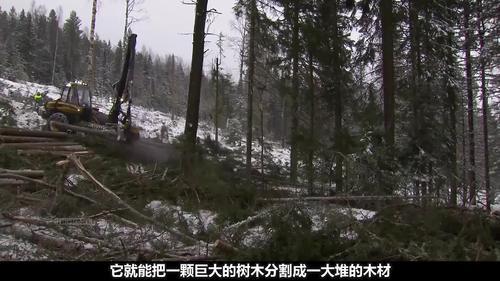 卫生纸是怎么制造的?把原木打成木浆,同时添加生活废纸再生利用