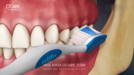 动画视频演示正确的刷牙方法,巴氏刷牙法!