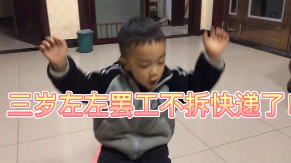 双十一快递烂了两个纸箱!又取一堆快递!拆箱继续!左左都罢工了