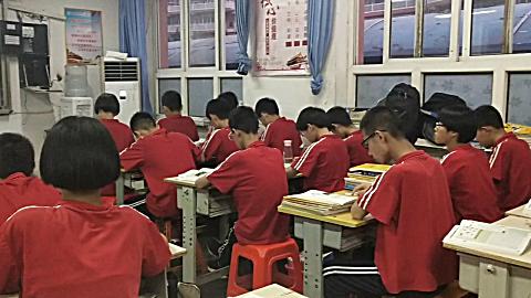 临漳 杨智珍 2016015572 初二 生物 生态系统结构与功能-能量流动