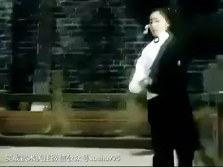 1983年中华武术纪录片,八卦掌、八卦刀及套路对练
