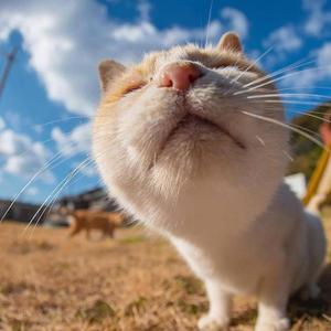 室内CAD入门教学 