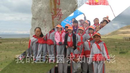 求知计划主题活动掠影