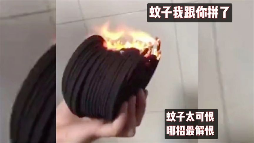 搞笑配音人类勇斗吸血鬼蚊子,史诗级大战