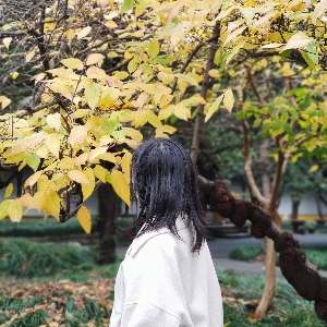 迷雾Moniquemm 