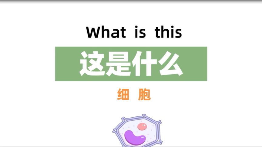 细胞:这是什么?科学启蒙动画