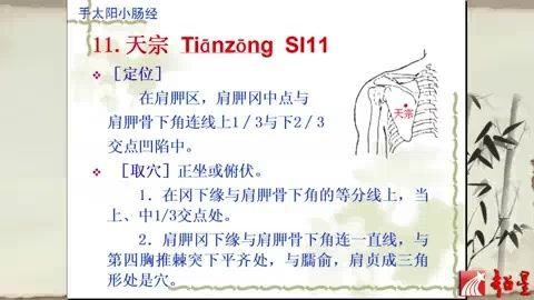孟向文教授中医腧穴学之手少阴心经、手太阳小肠经(二)59