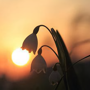 开心生活娱乐里 