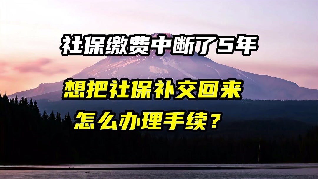 社保缴费中断了5年,想把社保补缴回来,怎么办理手续?
