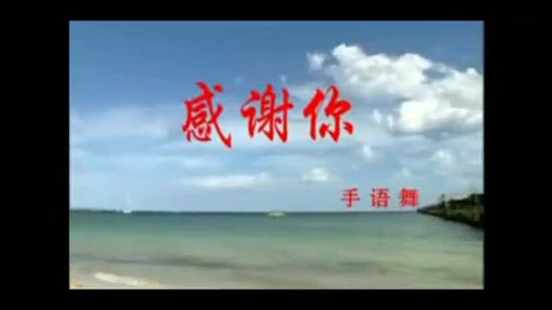 手语舞蹈教学 感谢你手语视频 .flv