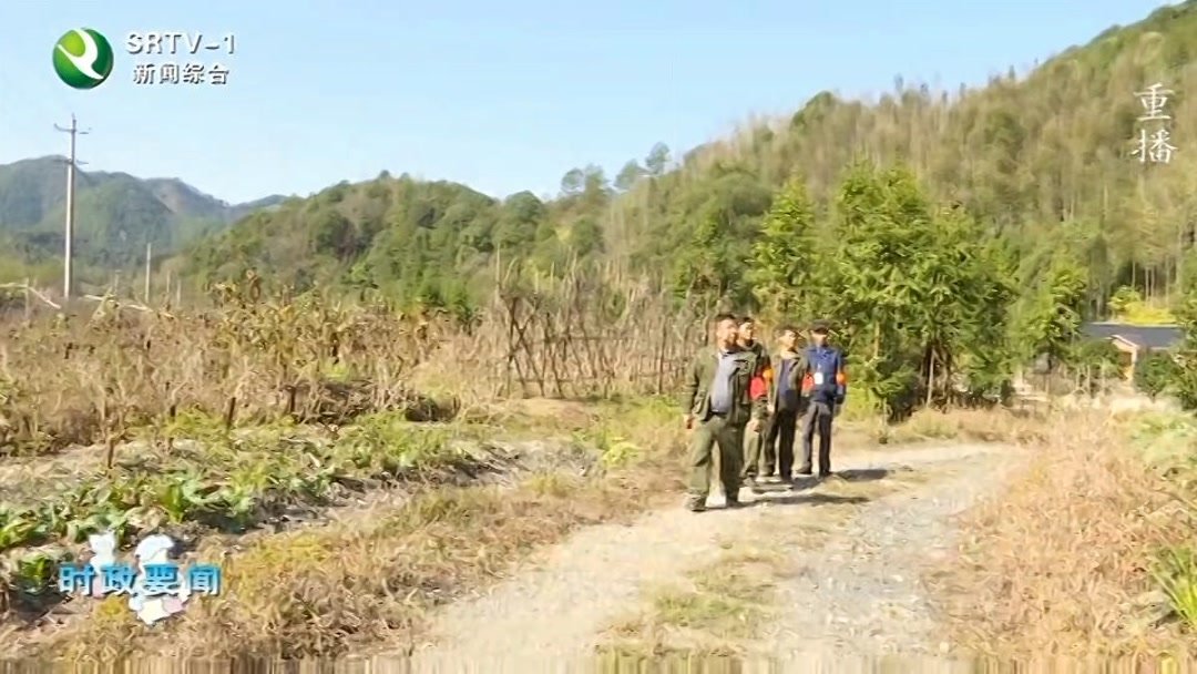 德兴:全面推行林长制 筑牢生态屏障