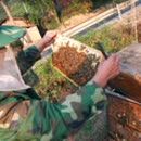 蜜滋康蜂产品 