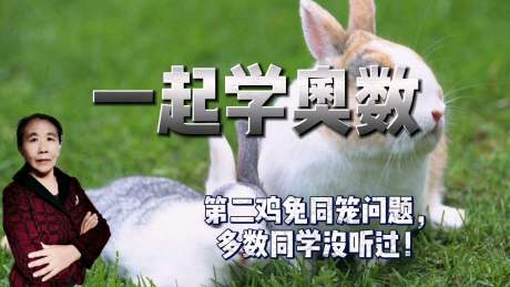 第二鸡兔同笼问题，多数同学没有听过，耐心听可能很难