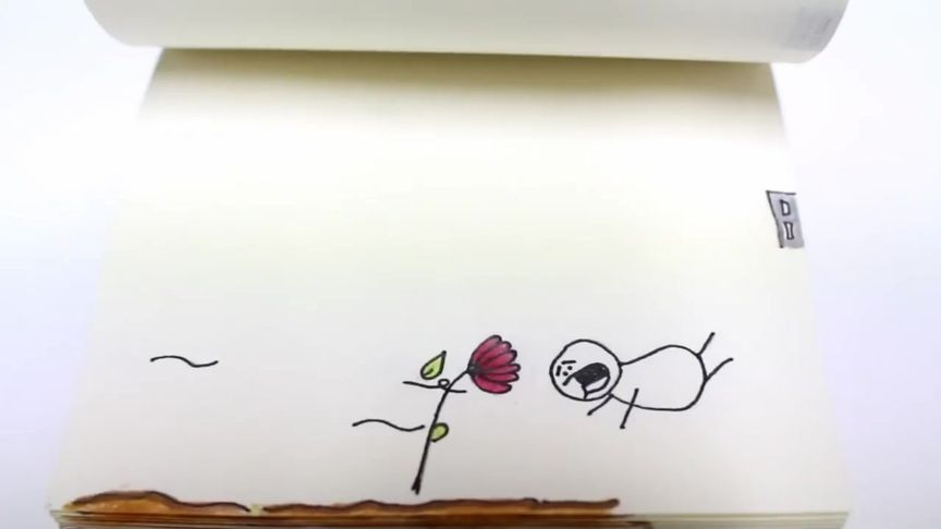 创意手翻书动画:小鸟放弃的一颗种子,却让我和她意外相爱了