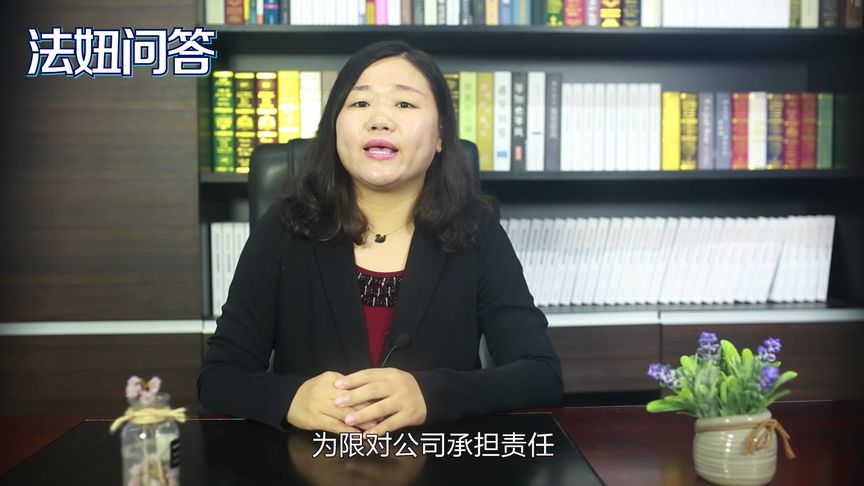 自然人投资或控股企业是什么性质