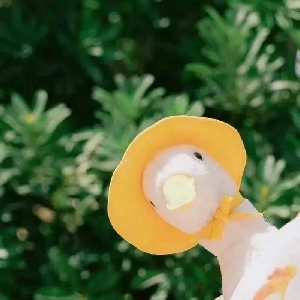 起不出名的C与B 