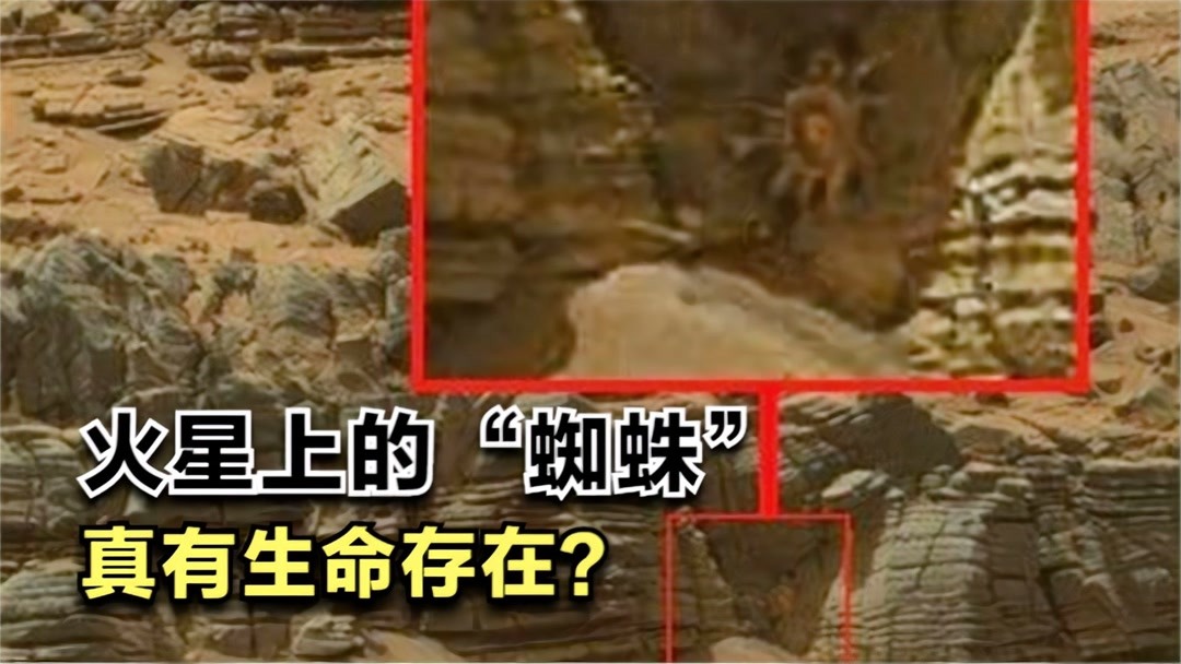 火星上出现“巨型蜘蛛”,它源自何方,火星上真有生命?