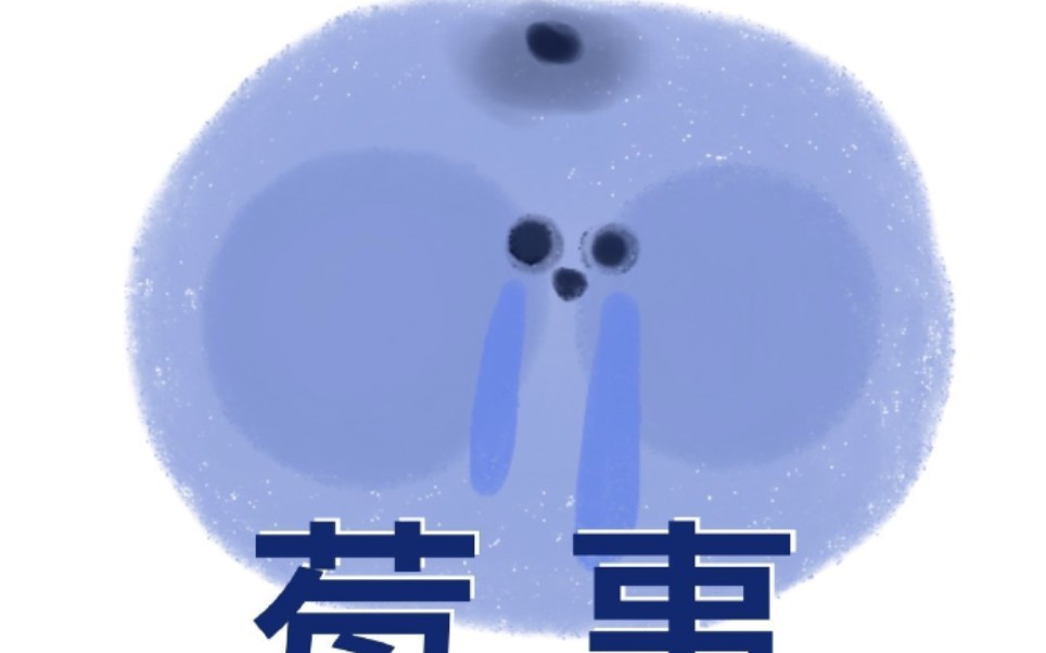 肾小管的重吸收