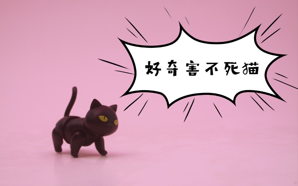 定格动画版 好奇可爱的猫咪日常
