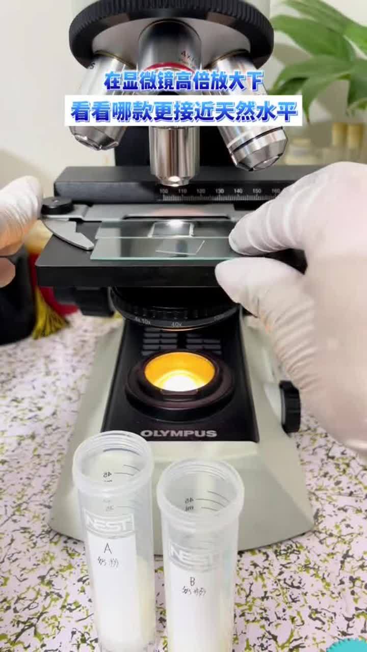 显微镜下看高标准的乳铁蛋白