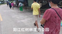 阳江海陵岛,红树林国家湿地公园,公园以亚热带红树林湿地为风景特征,...