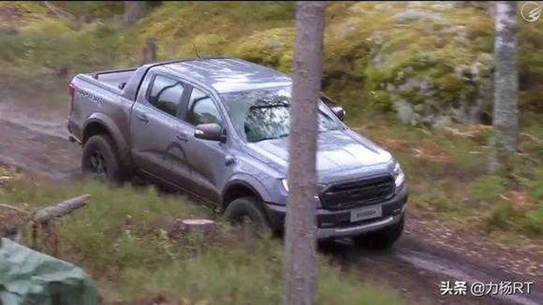 对于皮卡,你有啥特殊感情吗?