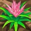 中江大姐 