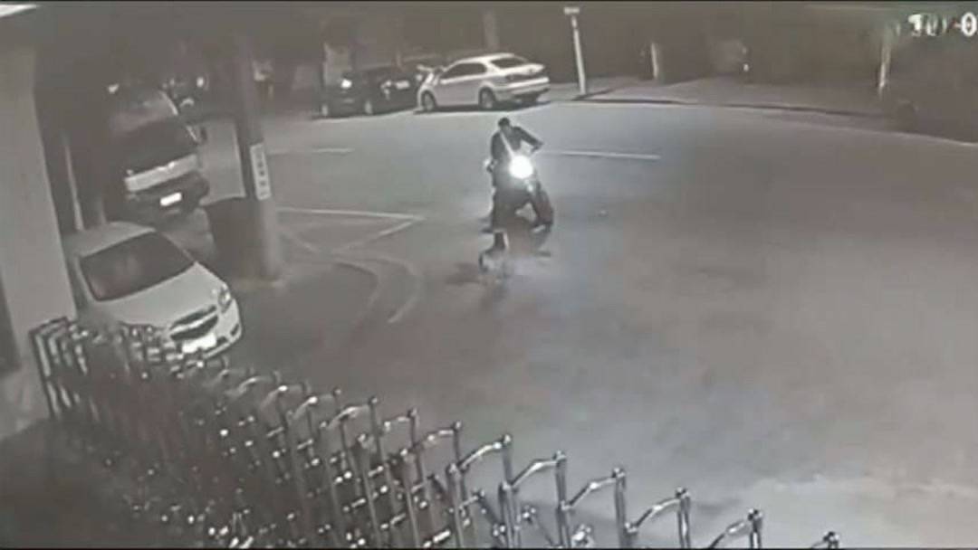 人狗骂战三百回合 ,流浪狗诱捕醉驾人