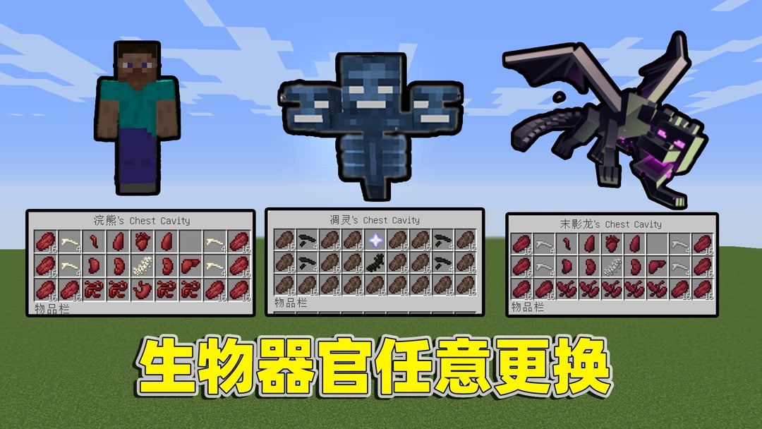 我的世界:假如所有生物都可以做手术?村民有八个肾,你敢相信?