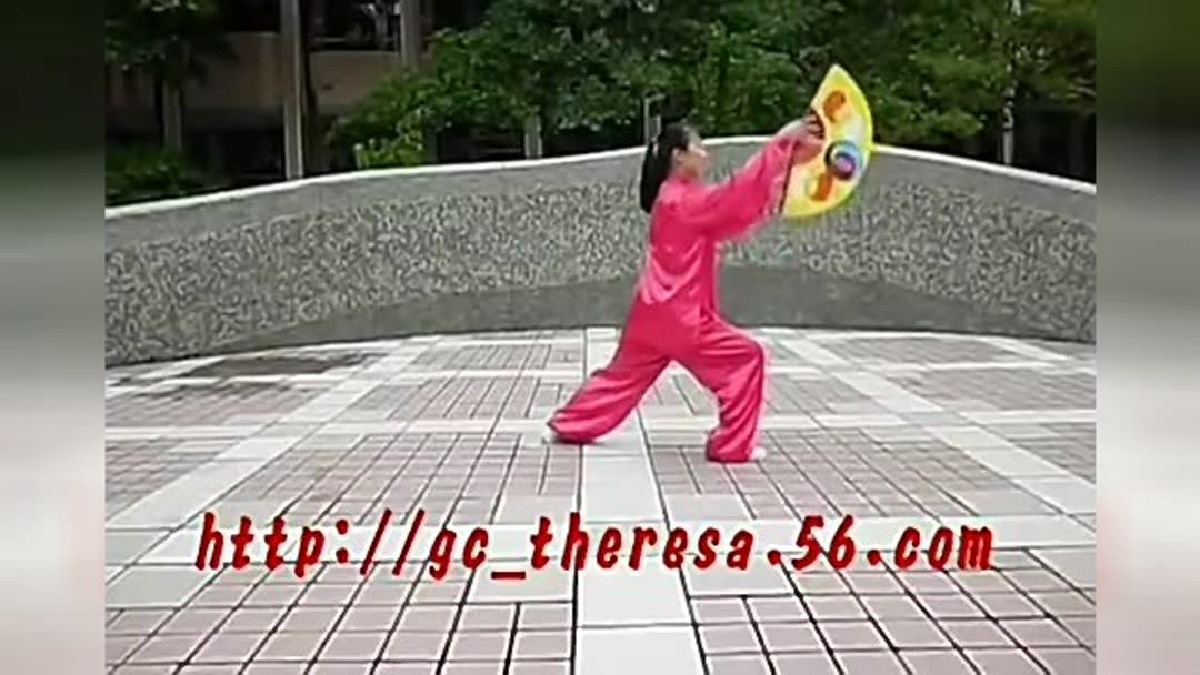 太极功夫扇第一套教学 背向动作教学