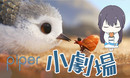 超快速看完 第89届奥斯卡最佳动画短片《Piper》「鹬」在经历风浪前 ...
