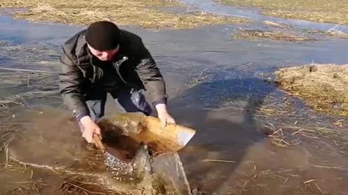 农民吃鱼真简单,拿着簸箕在河里耍两下就能抓到大货,羡慕!