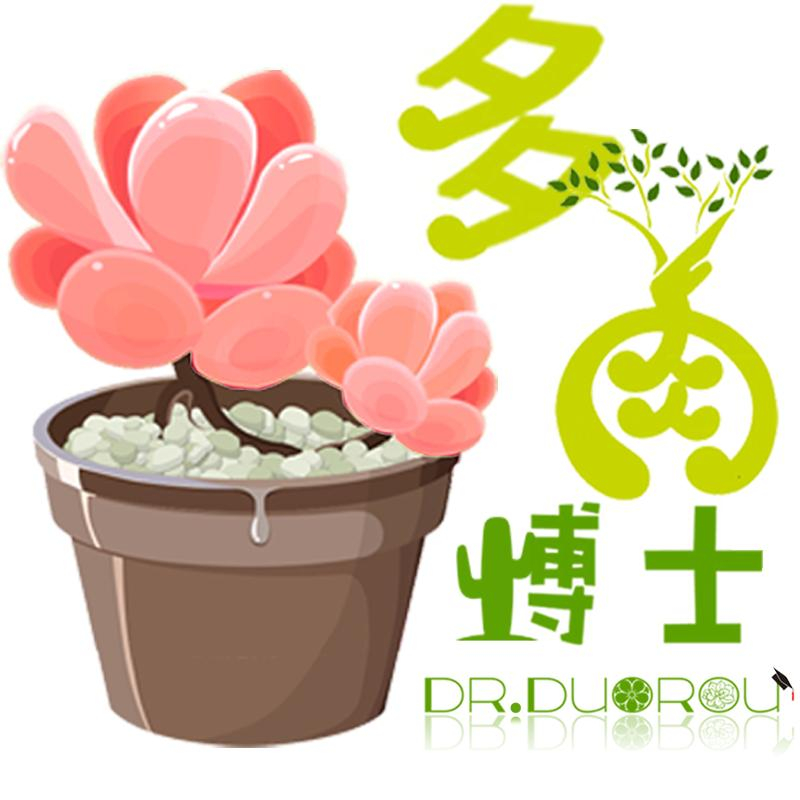 多肉博士 