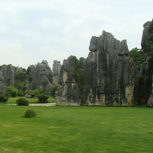 糖包油条 