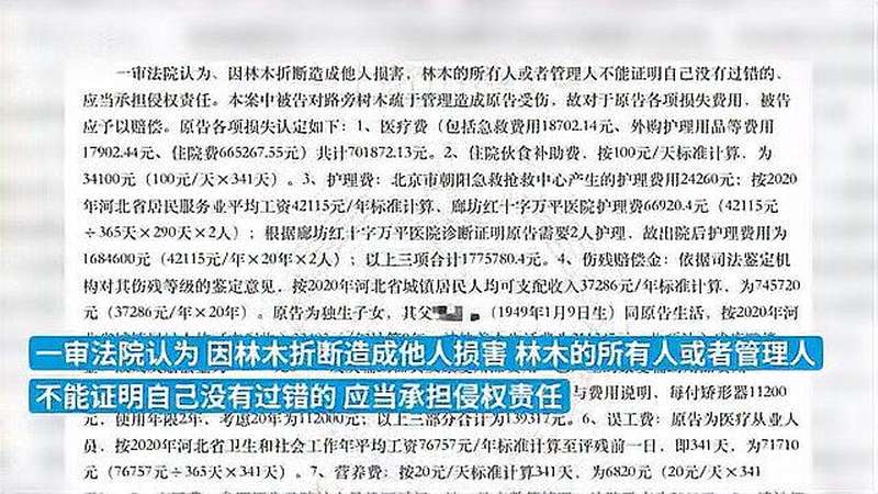 大树砸到男子致一级伤残,园林部门被判赔偿374万余元
