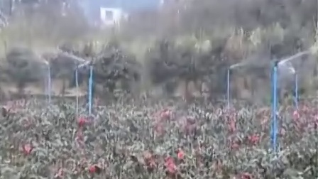 我公司农林植物自动控制系统产品宣传