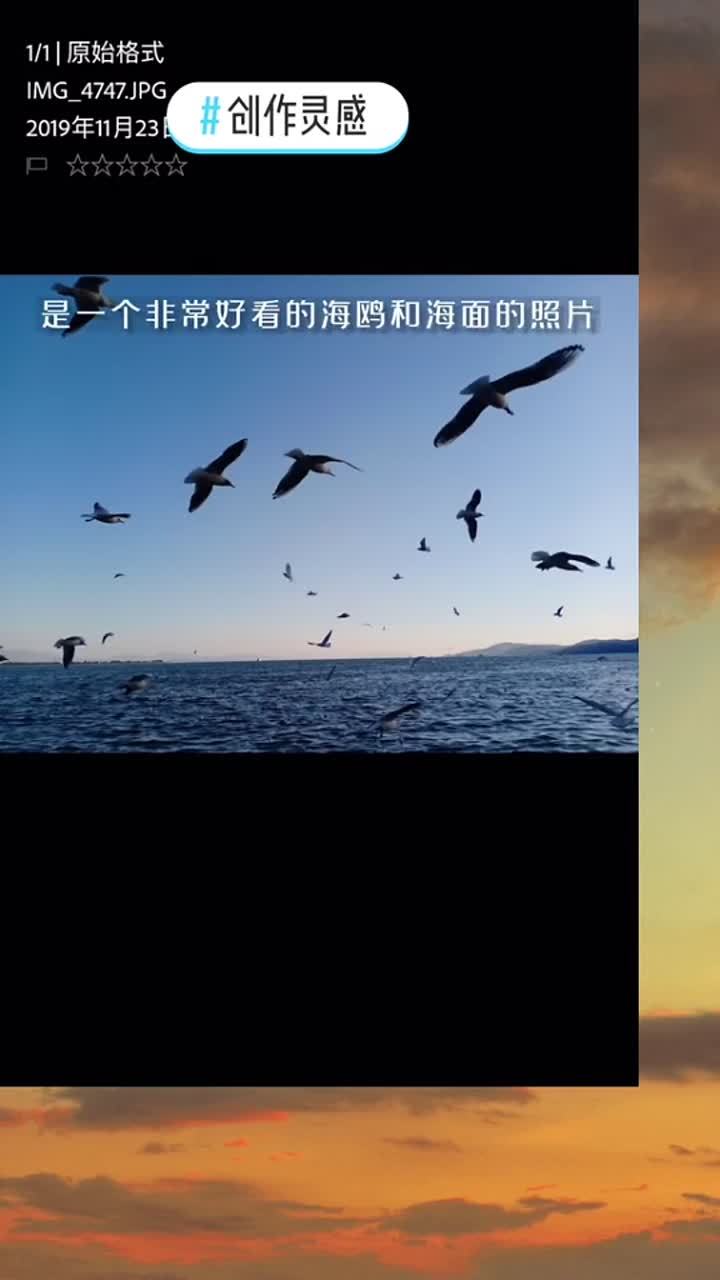 私藏拍照构图技巧:找到规律引导和色彩创作灵感摄影摄影教程调色lr