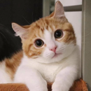 爱自己的大女人 