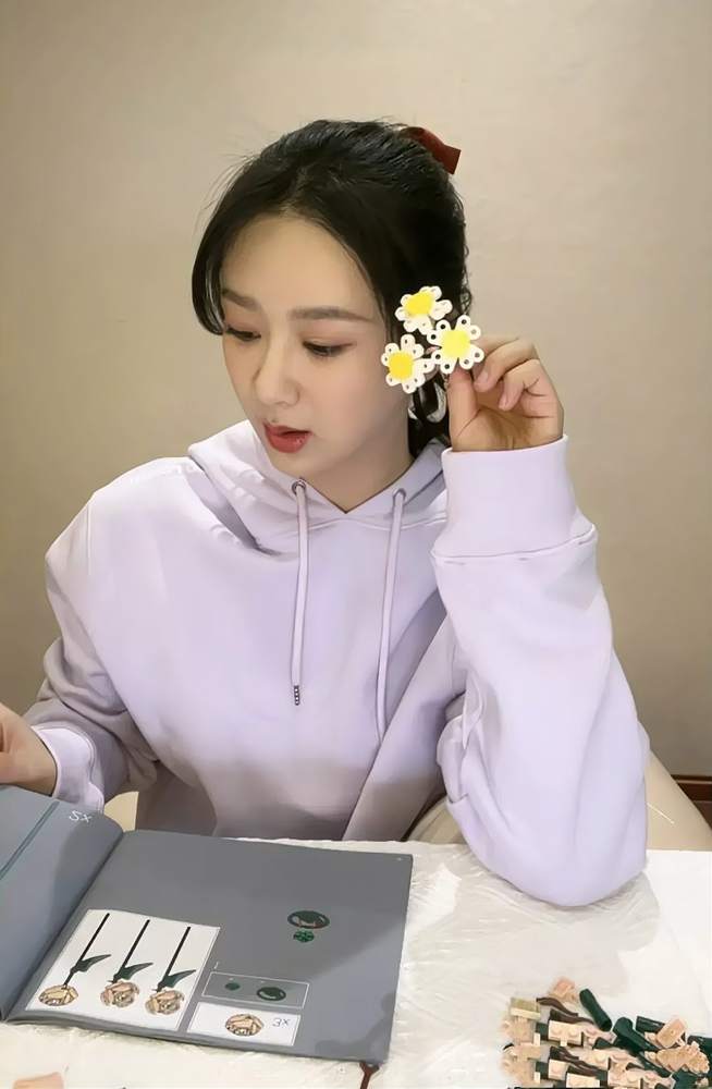 杨紫直播间拼乐高!