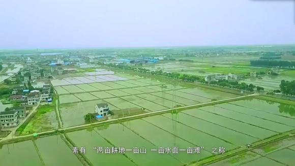 养虾有稻 道法自然――龙虾米宣传片