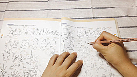 刺绣——将图样拓印到绣布上